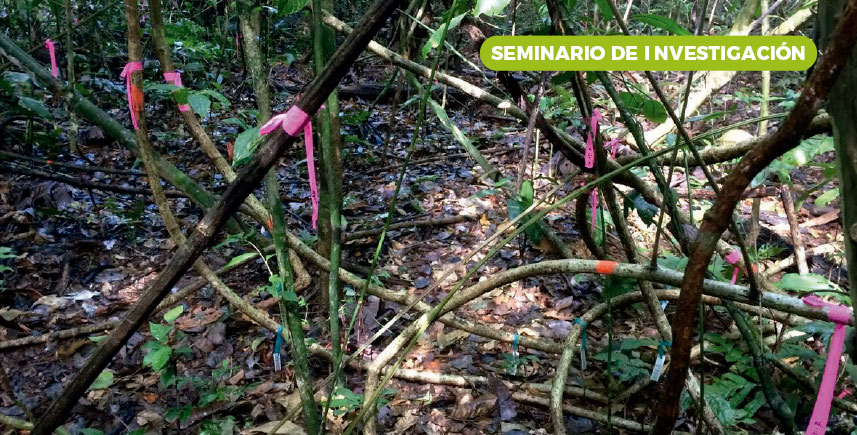 Local, population, community, and ecosystem processes shaping a ...